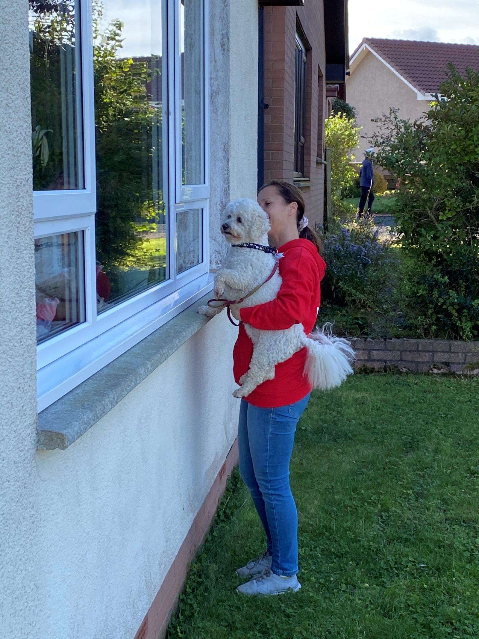 BHA BeFriend gets creative for National Befriending Week - Berwickshire ...